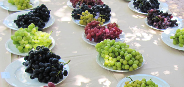 Our New Products | EXSA (PTY) LTD