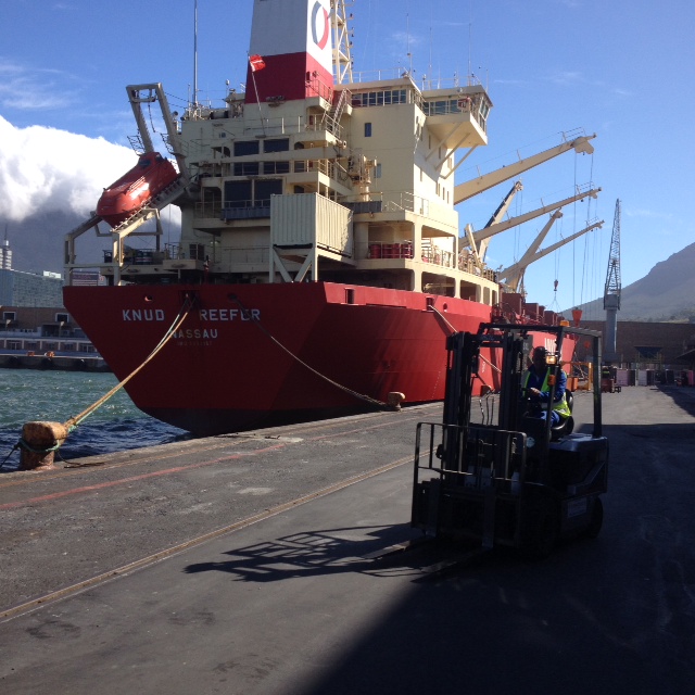 Loading the first Exsa grapes of the season at Port Of Cape Town – EXSA ...