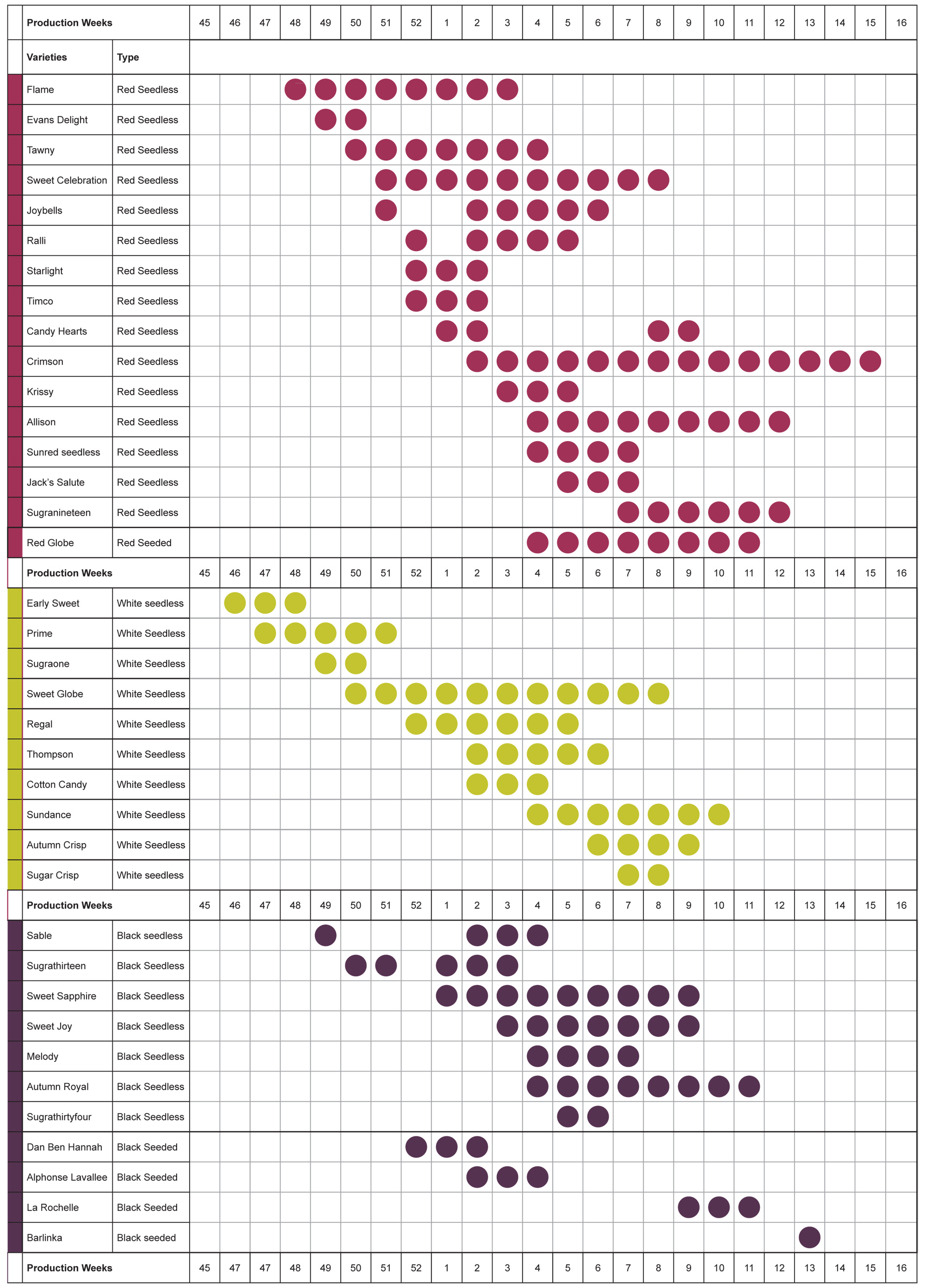 Our Production Calendar – EXSA (PTY) LTD