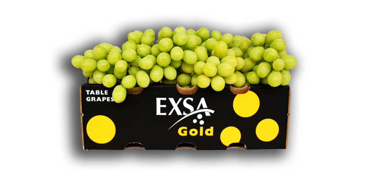 Grapes – EXSA (PTY) LTD