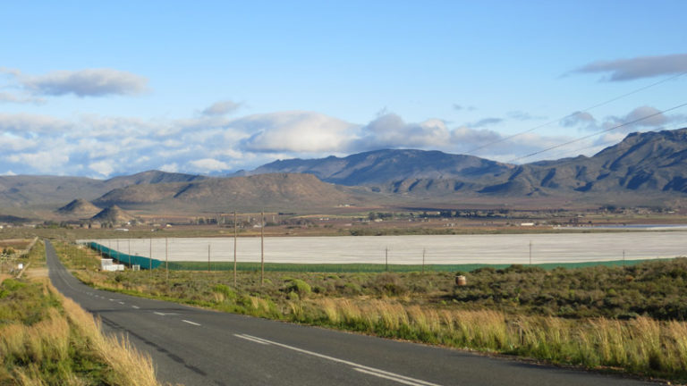 EXSA (PTY) LTD – The best of the bunch