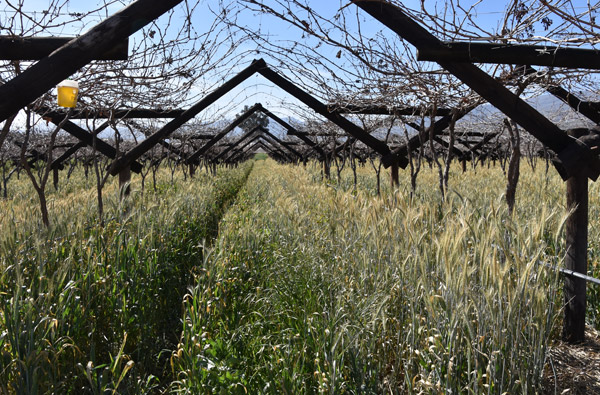 EXSA (PTY) LTD – The best of the bunch