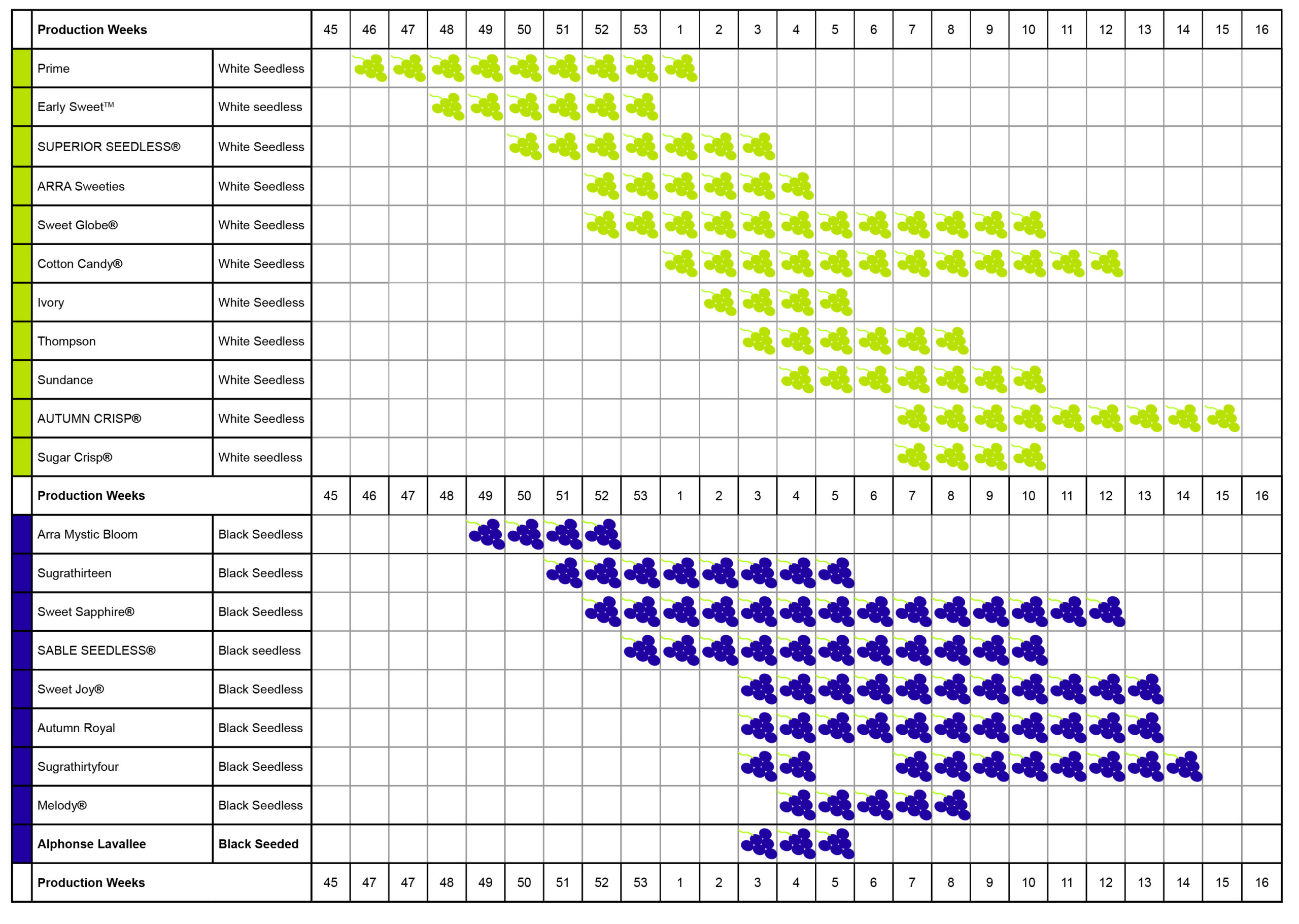 Our Production Calendar – EXSA (PTY) LTD