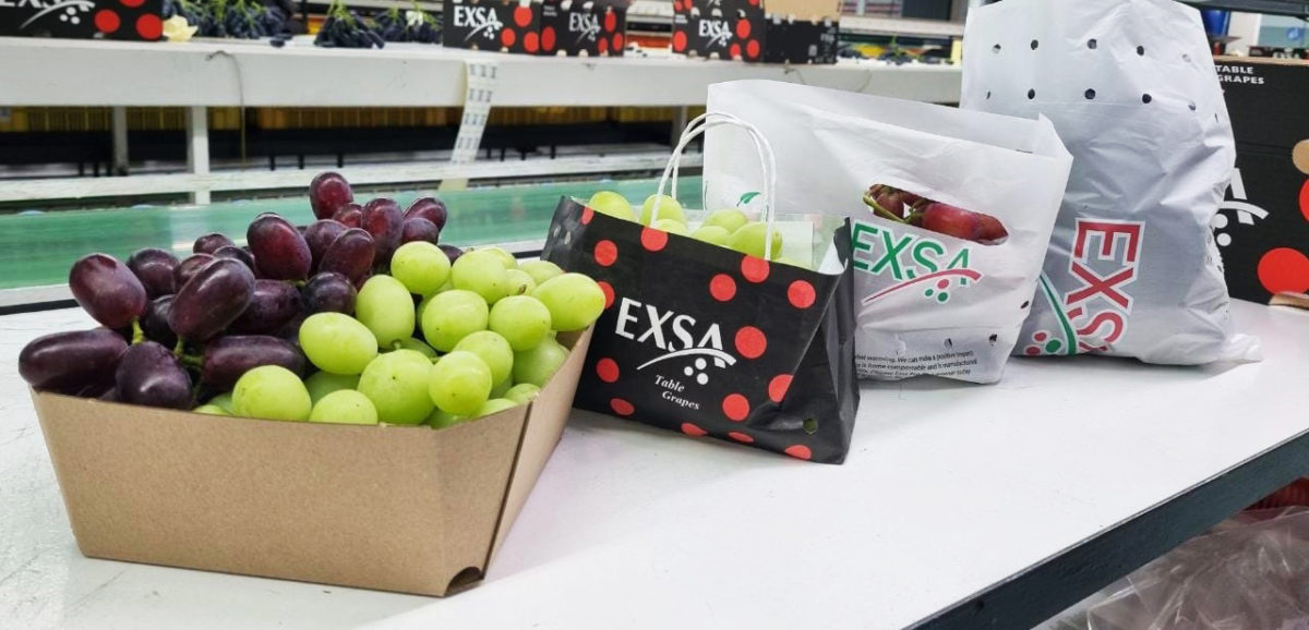 EXSA (PTY) LTD – The best of the bunch