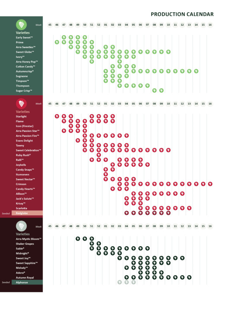 Production Calendar – EXSA (PTY) LTD